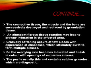 Actinomycosis Information | PPTX | Ear, Nose and Throat Conditions ...