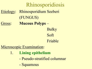 Actinomycosis rhinosporidiosis | PPT