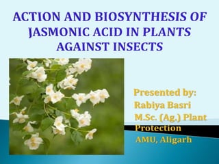 Action and biosynthesis of jasmonic acid | PPTX