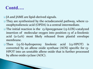 Action and biosynthesis of jasmonic acid | PPTX