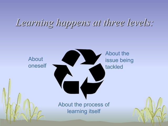 Action learning approach | PPTX