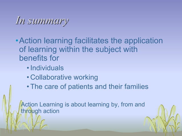 Action learning approach | PPTX