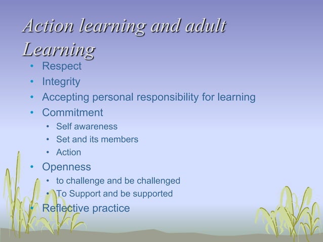 Action learning approach | PPTX