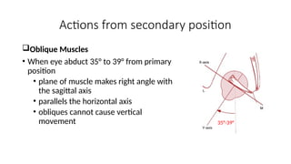 Action of Extraocular Muscles and Laws of Ocular Motility_ppt | PPTX
