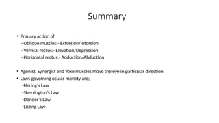 Action of Extraocular Muscles and Laws of Ocular Motility_ppt | PPTX