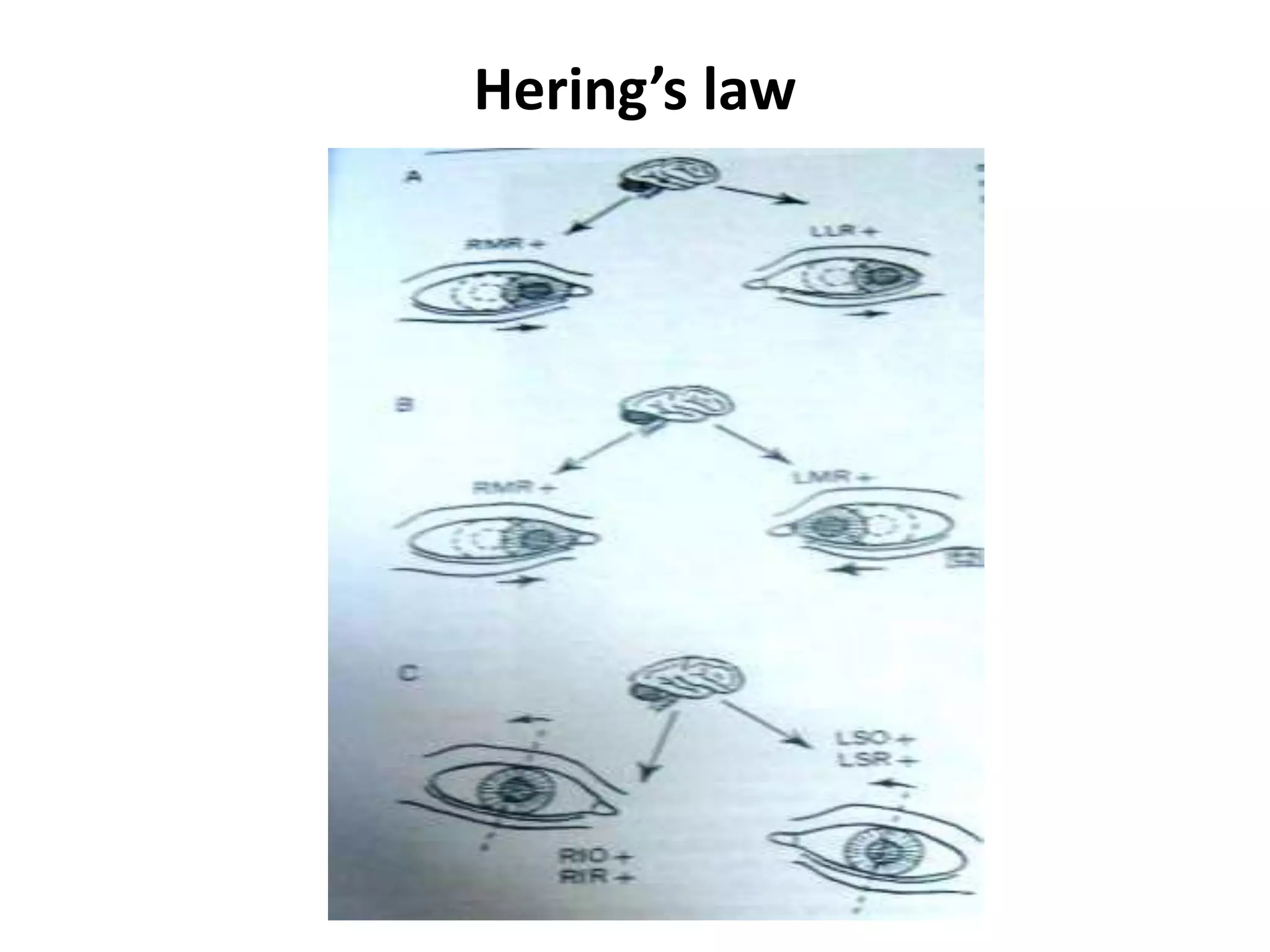 Action of extraocular muscles and various laws involved | PPTX