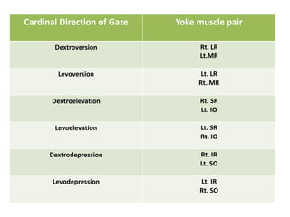 Action of extraocular muscles and various laws involved | PPTX