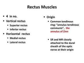 Action of extraocular muscles and various laws involved | PPTX