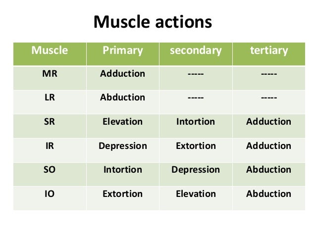 Action of extraocular muscles and various laws involved