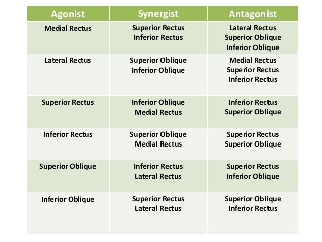 Action of extraocular muscles and various laws involved