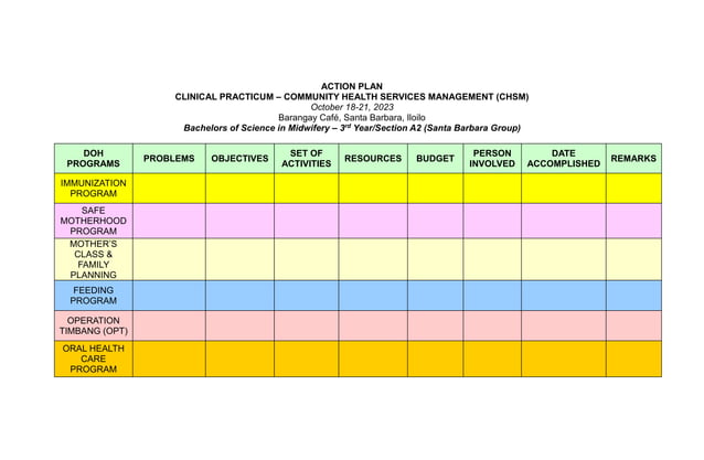 ACTION PLAN FOR COMMUNITY HEALTH SERVICES MANAGEMENT | DOCX