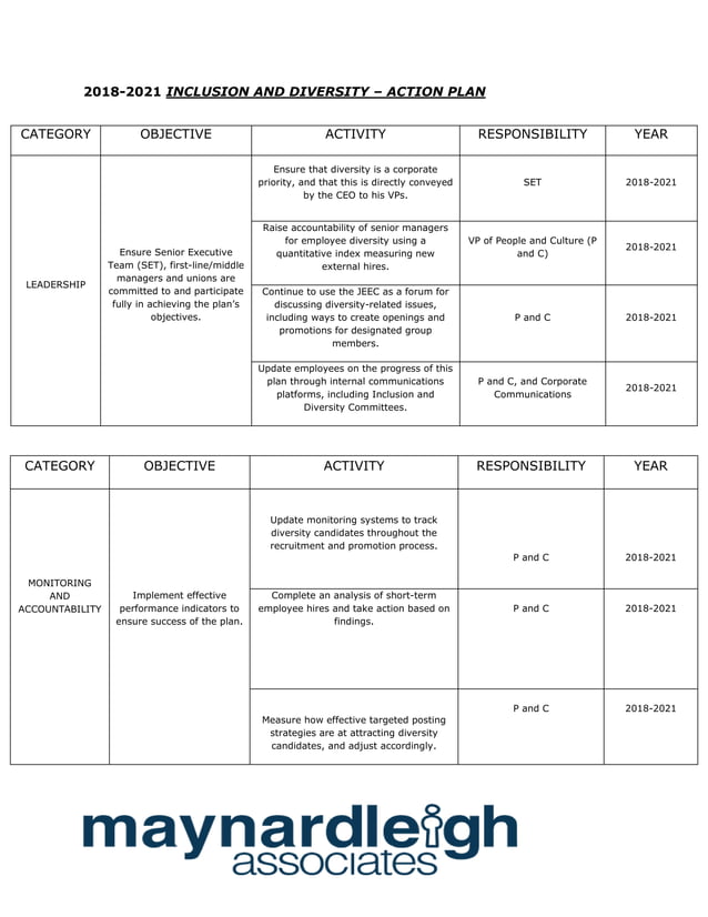 Action Plan - Diversity & Inclusion | PDF
