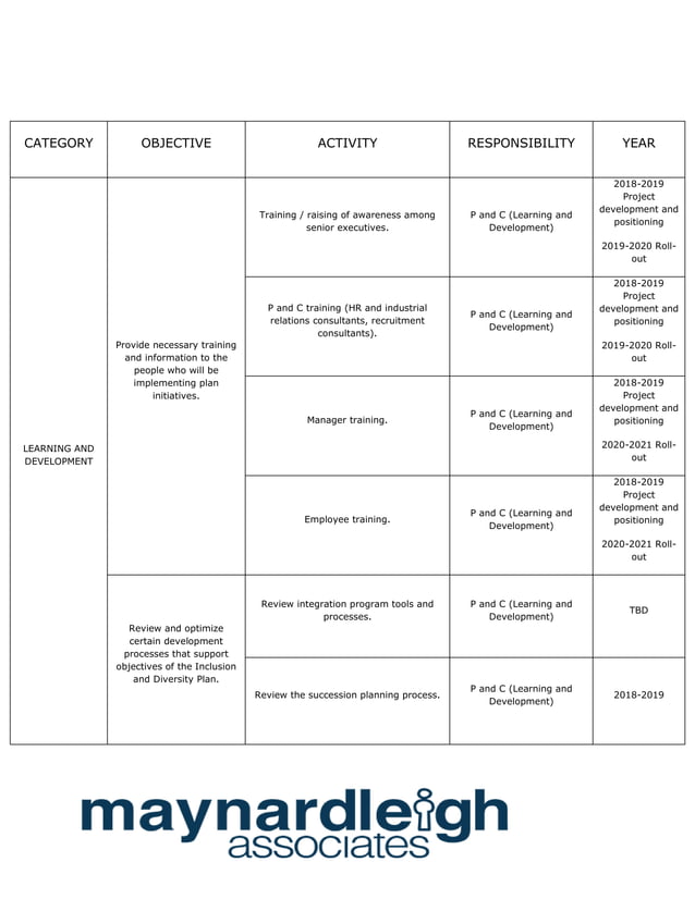 Action Plan - Diversity & Inclusion | PDF