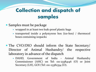 Action plan Avian Influenza | PPTX