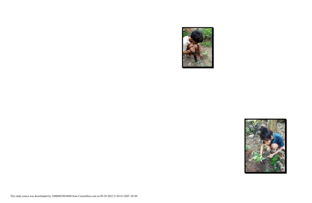 action plan in TLE.docx