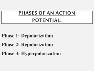 Action potential | PPTX