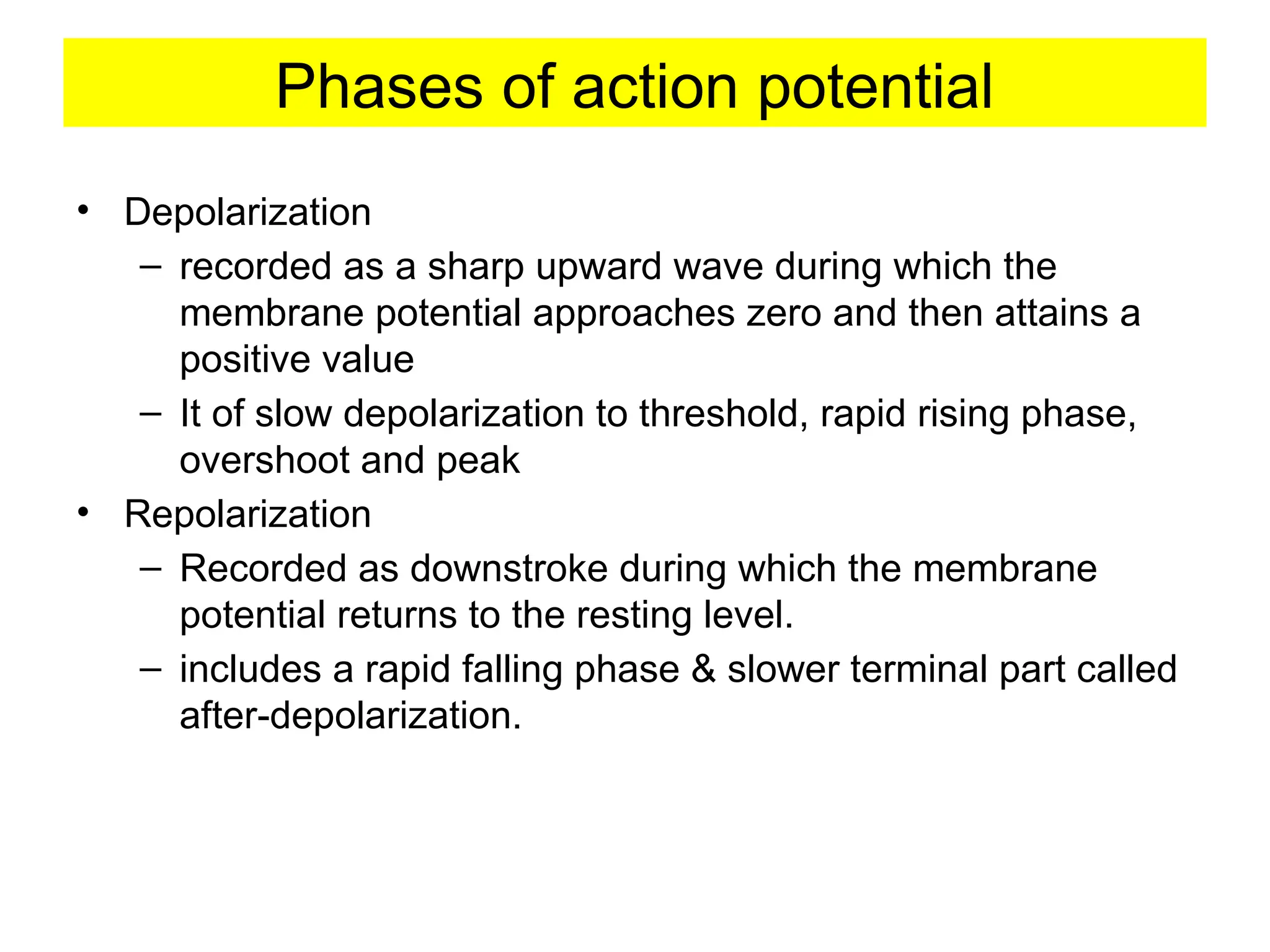 action potential and properties.....pptx