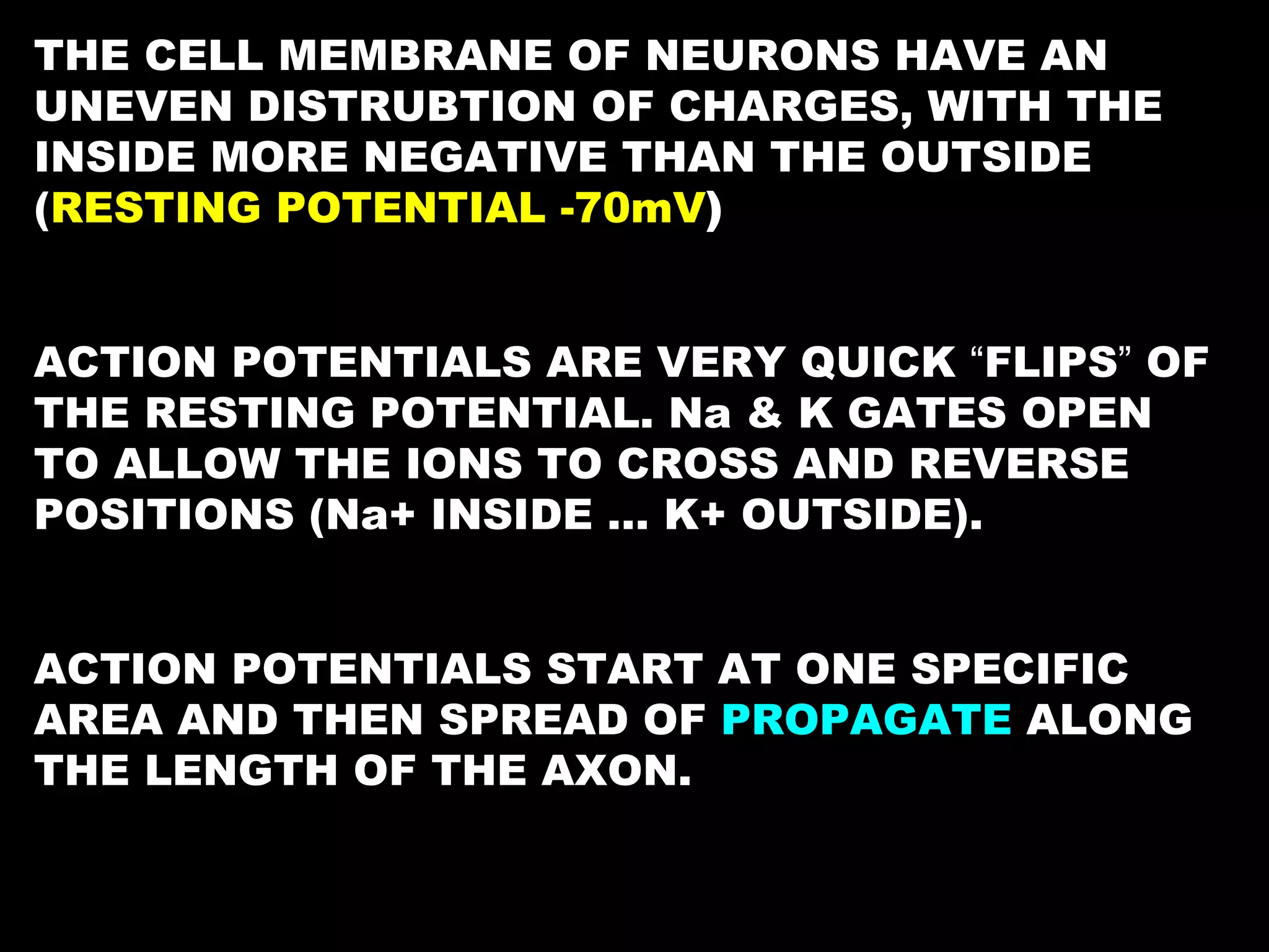 Action potential | PPT