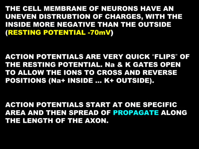Action potential | PPT