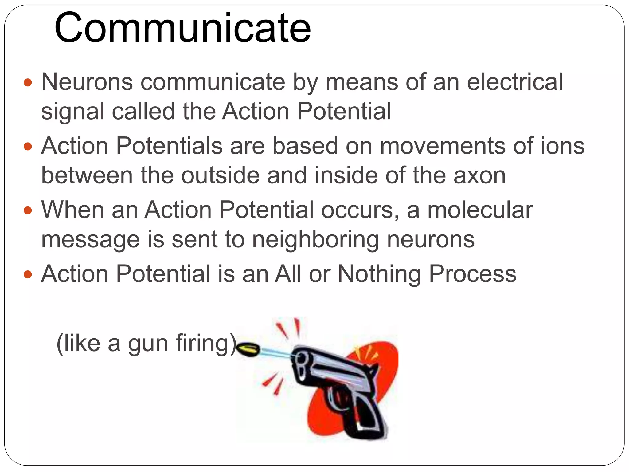 Action potential | PPTX