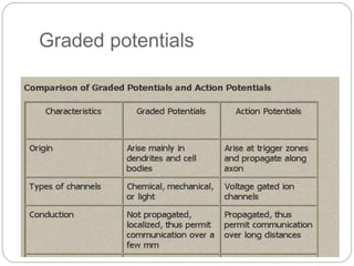Characteristics Of Graded Potentials