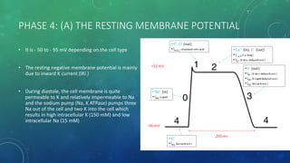cardiac action potential | PPTX