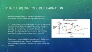 cardiac action potential | PPTX
