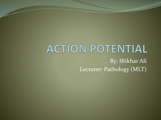 Action potential | PPT