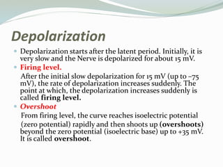 Action potential | PPT