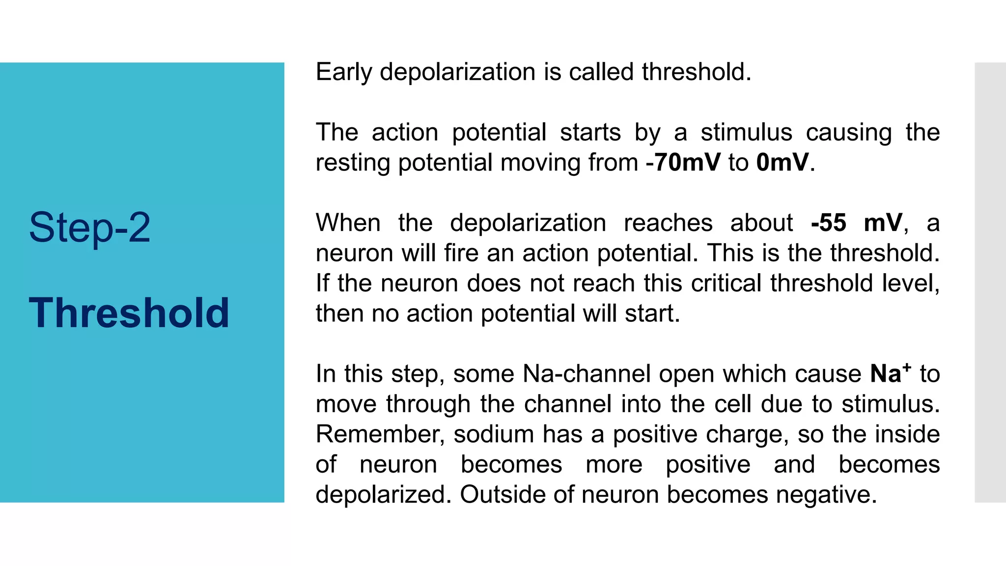 Action Potential | PPTX