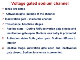 actionpotential-210127170546neuron .pptx