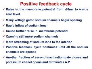 actionpotential-210127170546neuron .pptx