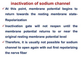 actionpotential-210127170546neuron .pptx