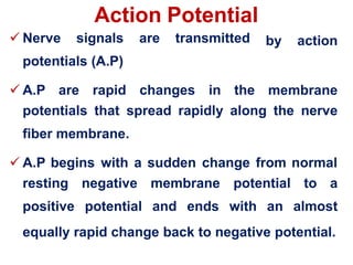 actionpotential-210127170546neuron .pptx