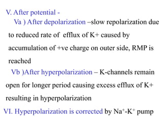action_potential.ppt