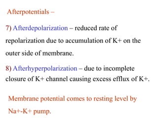 action_potential.ppt