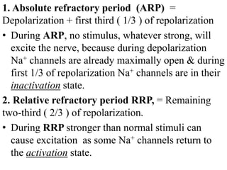 Action Potential.pptx