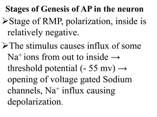 Action Potential.pptx