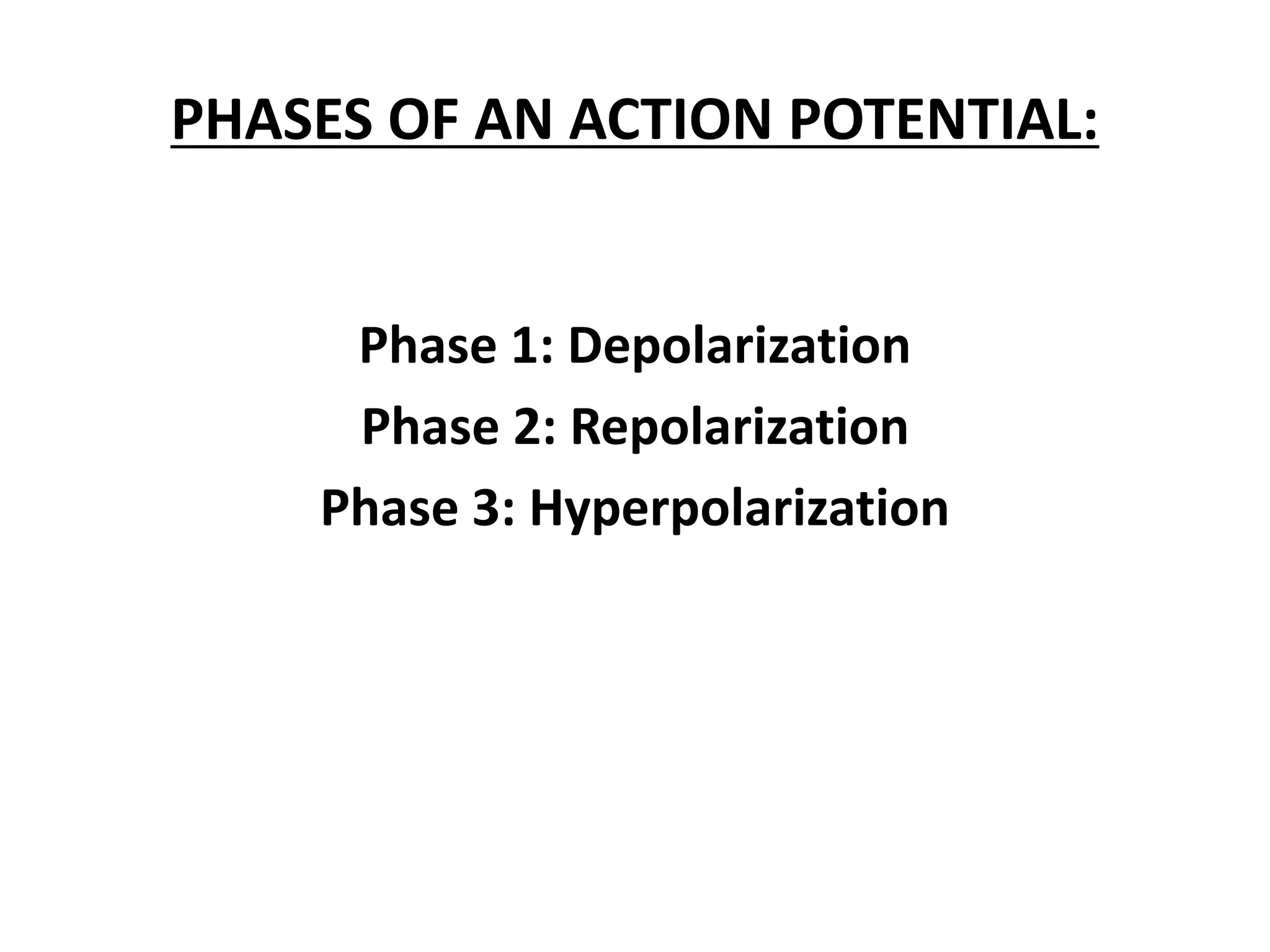 Action Potential.ppt