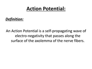 Action Potential.ppt