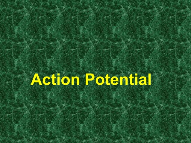 Action Potential.ppt