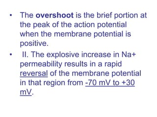 Action Potential.ppt