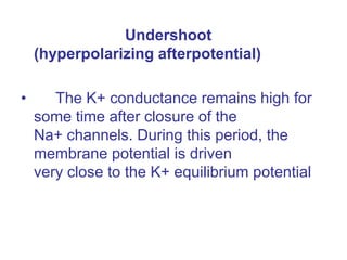 Action Potential.ppt
