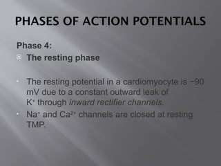 ACTION POTENTIAL. Cardiac Potential. Muscle Potential | PPT