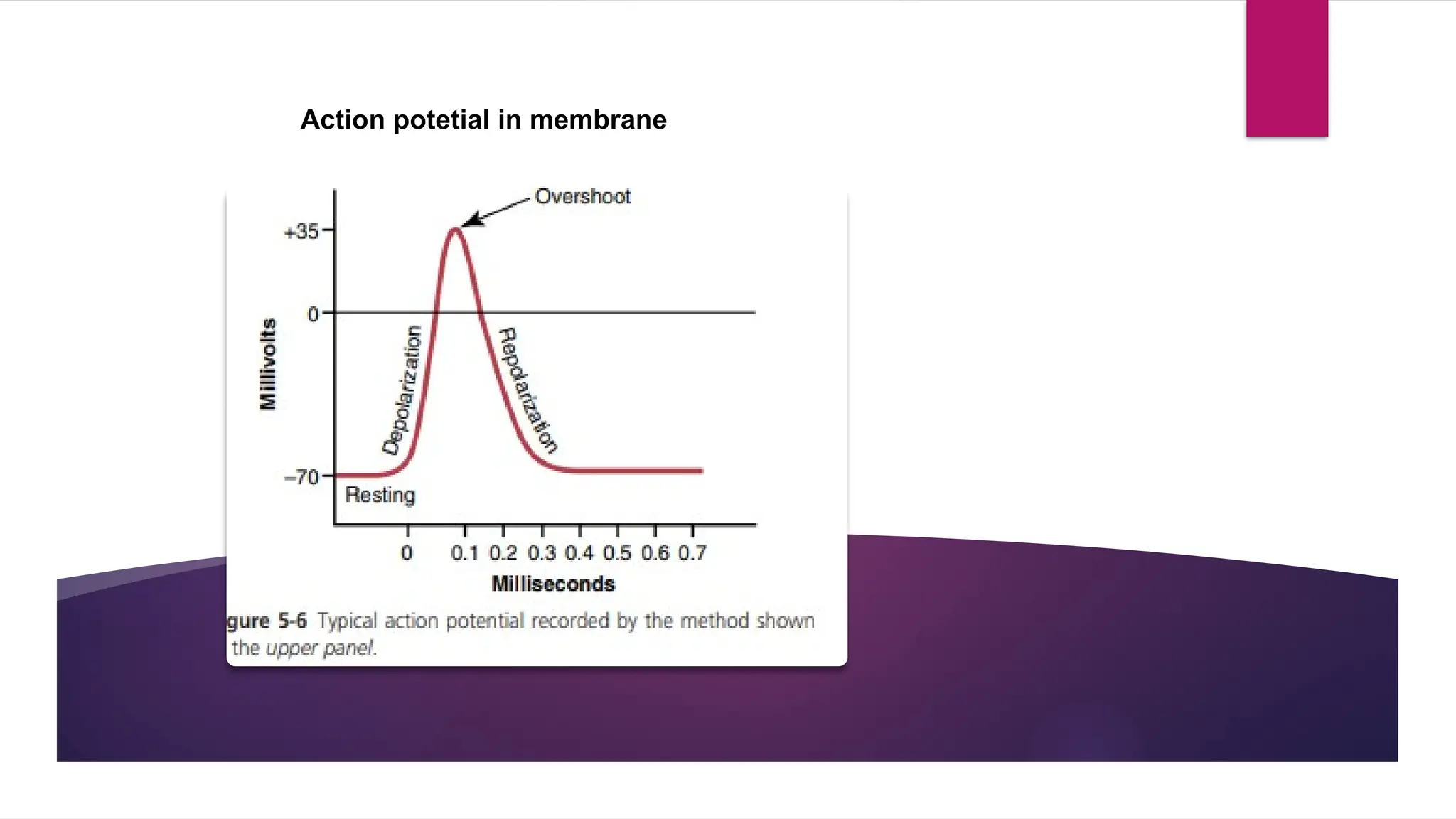 Action potential.pptx in details by Shibra razi | PPTX | Chemistry | Science