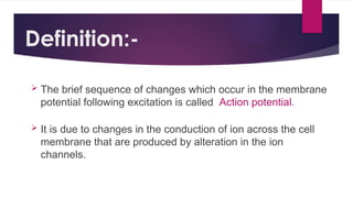 Action potential.pptx in details by Shibra razi | PPTX
