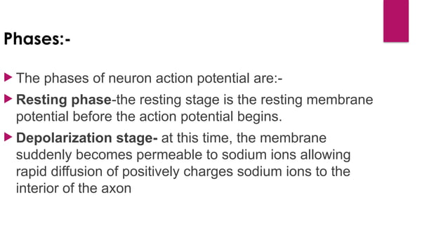 Action potential.pptx in details by Shibra razi | PPTX | Chemistry ...