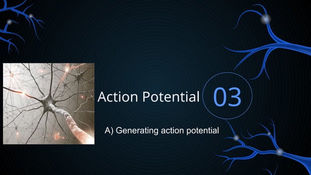 Action Potential.pptx Action Potential.pptx