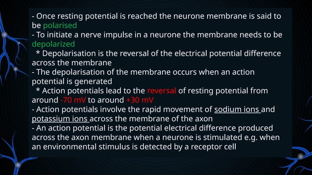Action Potential.pptx Action Potential.pptx
