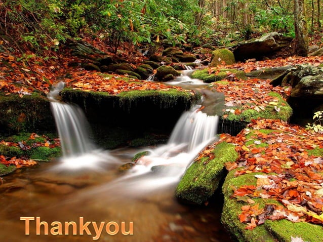 introduction to the action potential.ppt